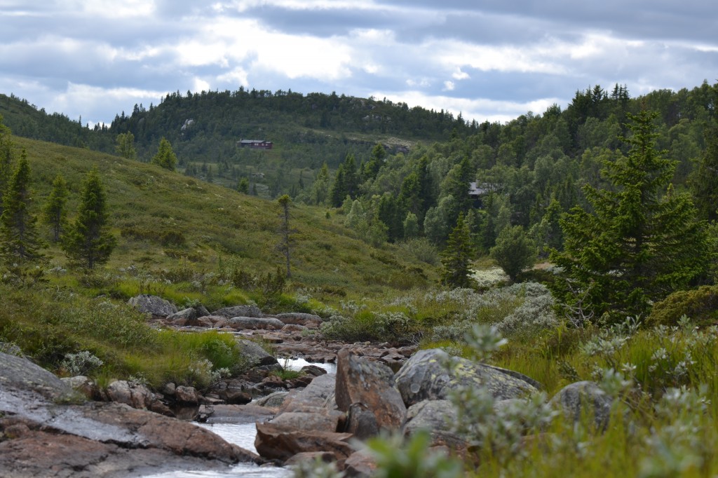 Sensommerfjell - Ingeborg Korme