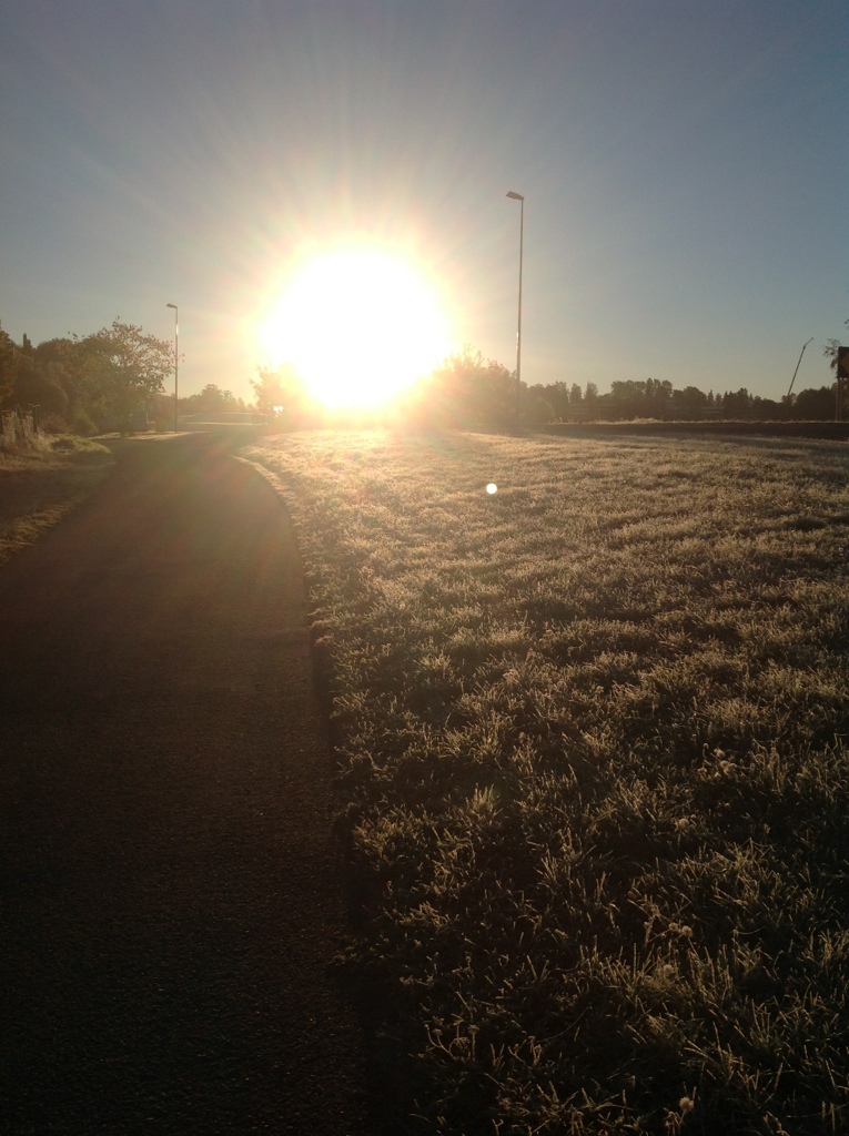 Frost - Ingeborg Korme