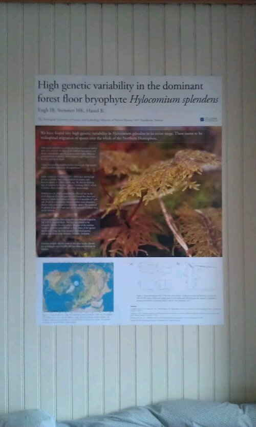 Poster - Ingeborg Korme